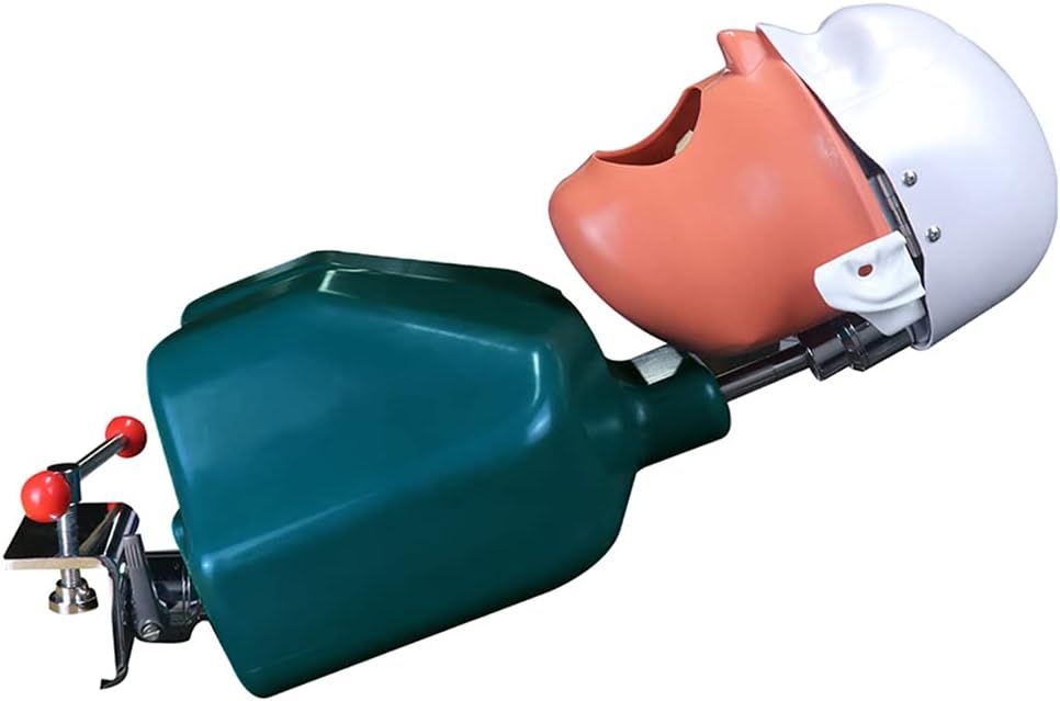 Amazon.com: Teaching Tools,Dental Manikin with Torso, Dental Simulator ...