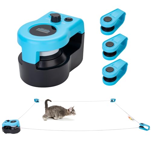 10 Best Cat Exercise Wheels | 2024