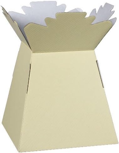 APAC 5 x Baby Pink Living Vase Flower Box Flower Bouquet Transporter ...