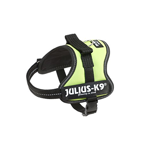 Julius K9 Mini Mini Preisvergleich – Die 15 besten Produkte im ...