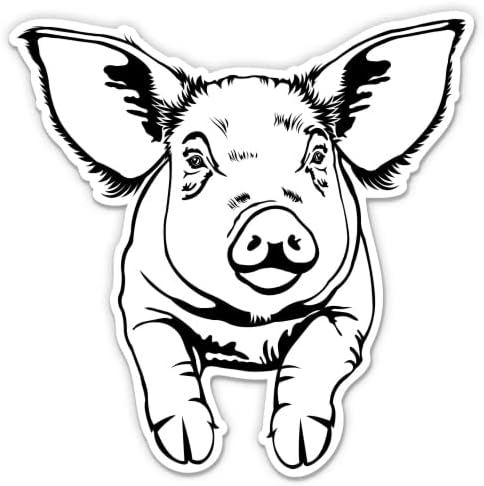 Amazon.com - Pig Sticker - 3" Laptop Sticker - Waterproof Vinyl for Car ...