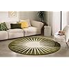 Amazon.com: Restoration and Renovation Modern Round Area Rug – Hand ...