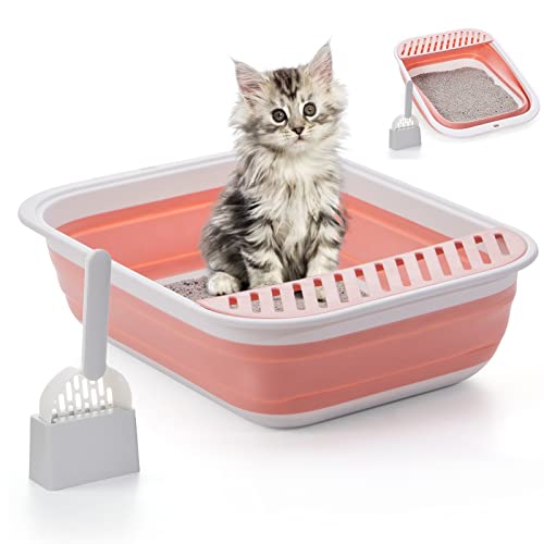 Small Litter Box – The 15 best products compared - Wild Explained