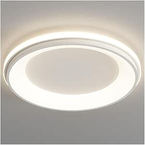Amazon.com: LED Dimmable Flush Mount Lighting Fixtures - Modern White ...