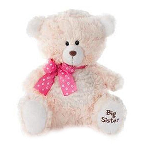 Buy Generic Stuffed Teady Bear Light Cream Colour Online at Low Prices ...