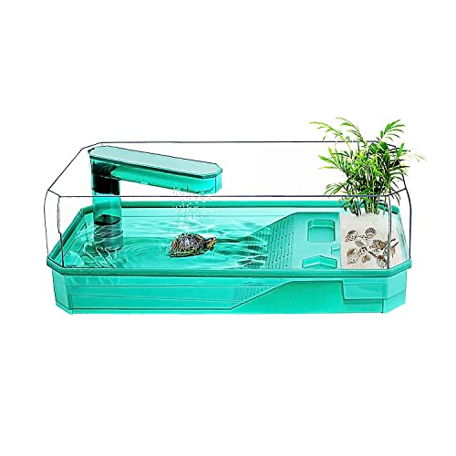 Armando tu kit terrario para tortugas de tierra - Mi Hogar