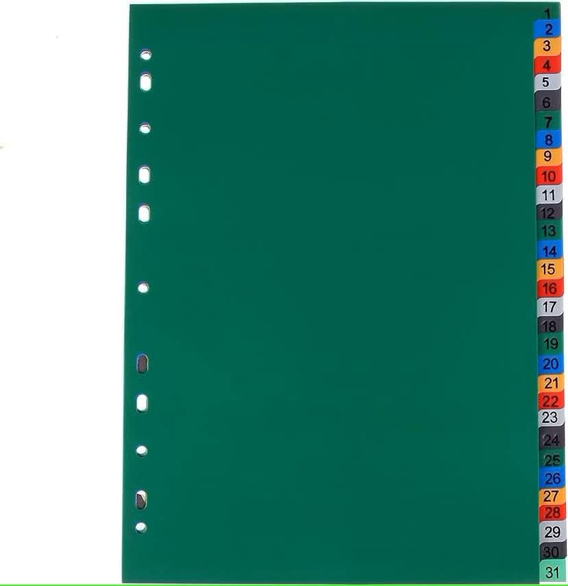 Solo SP 110 Separator/Divider (Set of 10) A4 - Multi-Color, : Amazon.in ...