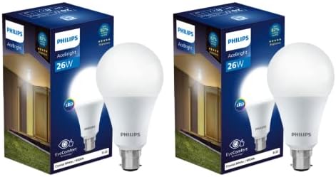 PHILIPS 22-watt LED Bulb |AceBright High Wattage LED Bulb|Base: B22 ...