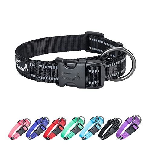 Amazon.com.au Best Sellers: The most popular items in Basic Dog Collars