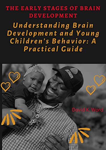 THE EARLY STAGES OF BRAIN DEVELOPMENT: Understanding Brain Development and Young Children's ...