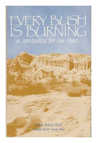 Every Bush is Burning : a Spirituality for Our Times / Joan Puls ...