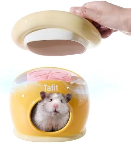 Amazon.com : tafit Ceramic Igloo Hamster Hideout - Orange Small Animal ...