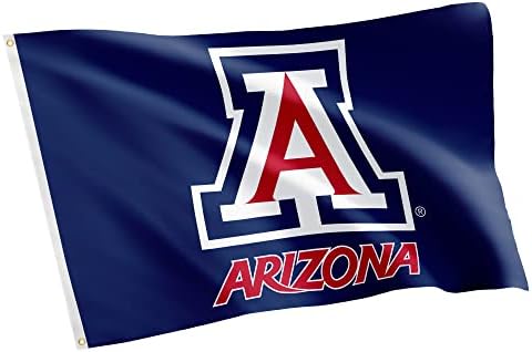 Amazon.com : Desert Cactus University of Arizona Flag Wildcats UA ...