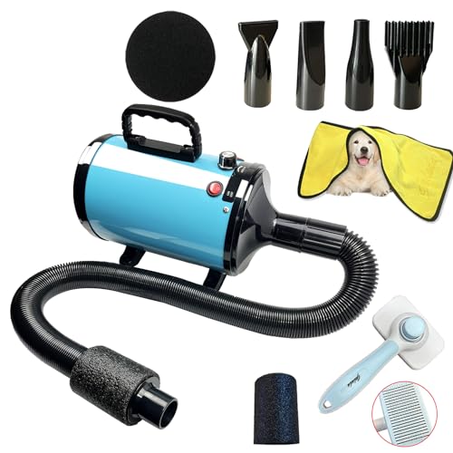 10 Best Dog Dryers | 2024