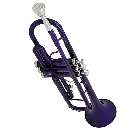 Purple Trumpet – The 16 best products compared - www.djgblogger.com