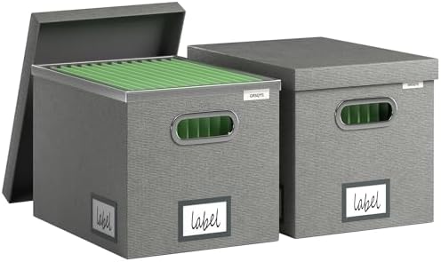 Amazon.com: GRSQYS File Organizer Box - File Boxes for Hanging Files ...