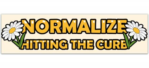 Amazon.com: Normalize Hitting The Curb! Funny Cute Gen Z Meme Car ...