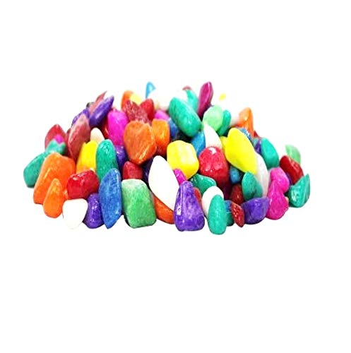 Decorative Multi Color Stones 475 Grams 23 : Amazon.in: Pet Supplies