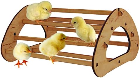 Amazon.com : Kalekey Chicken Perch Toy for Coop, Chicken Perch Stand ...