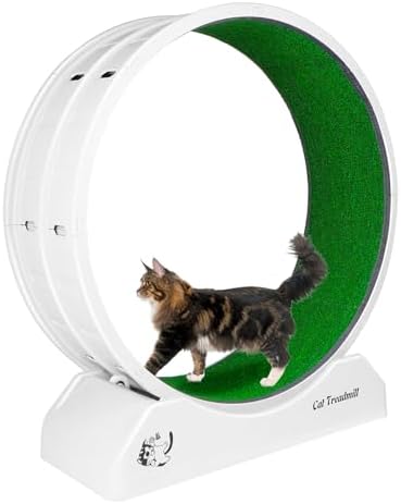 Cat Wheel, Cat Wheel Exerciser for Indoor Cats, Low Noise Cats Exercise ...