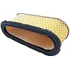Amazon.com : 496894 496894S 493909 Air Filter for 12.5-17 HP 5053K with ...