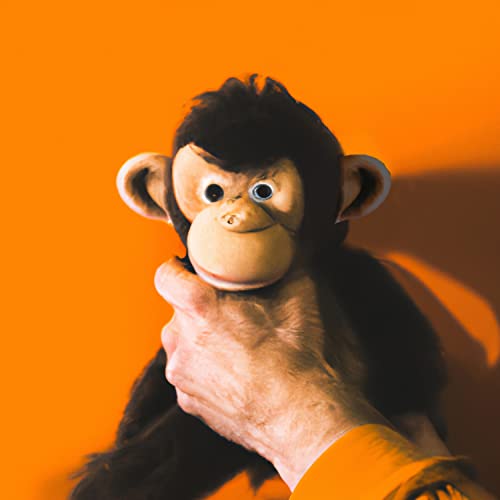 Softly Softly Catchy Monkey by Wakey Wakey Rise & Shine on Prime Music