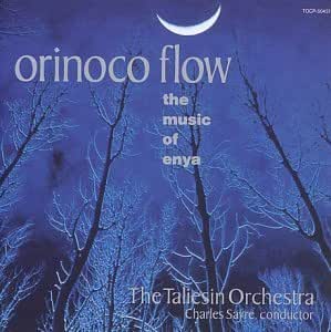 Orinoco Flow:the Music of Enya: Amazon.com.br: CD e Vinil