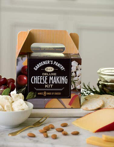 10 Best Cheese Making Kit (2022) - Beginners Guide and Top Picks