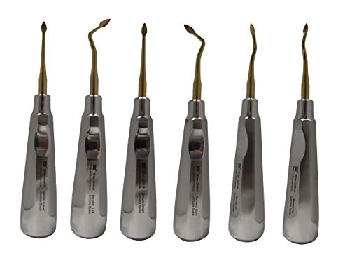 Buy Dental Spade Elevator Bernard Surgical Extraction Spade Elevator ...