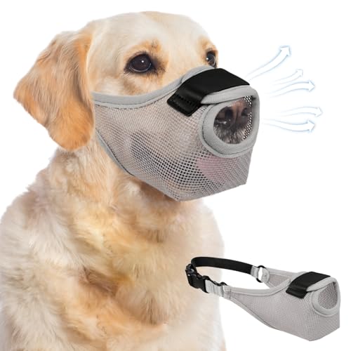 10 Best Muzzle For Aggressive Dog