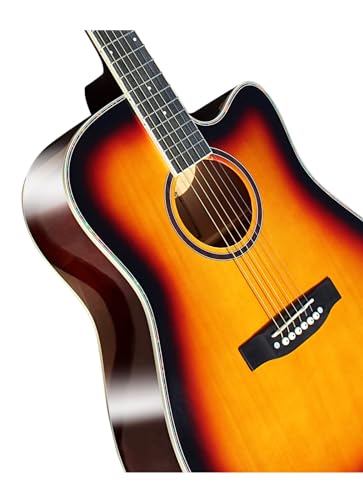 Neowood (FLY-DCM-SB) Dreadnought Cutaway Acoustic Guitar With Matt ...