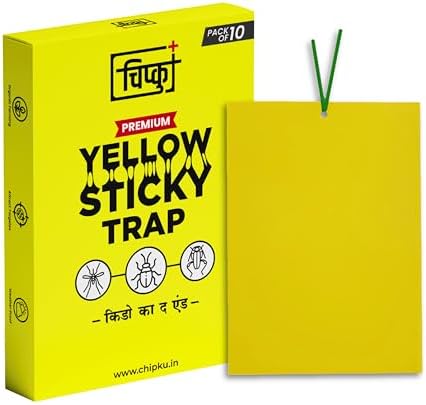 Chipku Yellow Sticky Traps – 10 Rectangle Traps | Eco-Friendly Insect ...