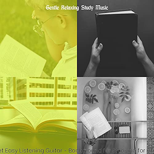 Play Quiet Easy Listening Guitar - Background for Studying for Exams by ...