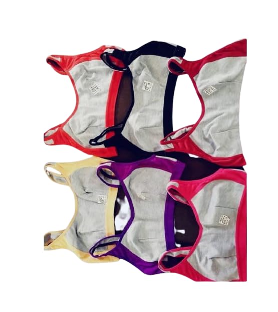 Buy Women's Lightly Padded Sports Bra Wire Free Tube Bra 6 Combo Set ...