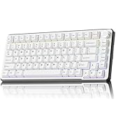 Amazon.com: SEUNKWANG EWEADN GS75 Wireless Mechanical Keyboard ASMR, 75 ...