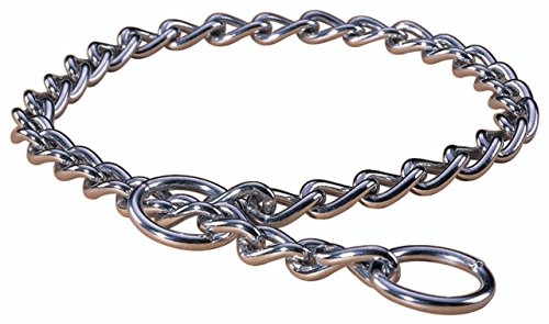 Dog Choke Chain – The 15 best products compared - Wild Explained