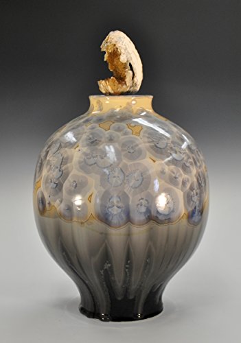 Amazon.com: LARGE Crystalline Pottery Jar with Ancient Clam : Home ...