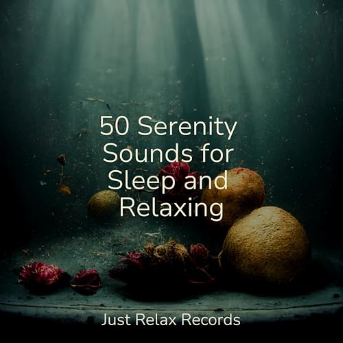 Stardust Lullaby Mist song by Relaxing Music, Lounge relax & RelaxMyCat ...