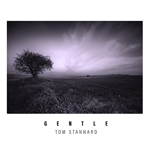 Écouter Gentle par Tom Stannard sur Amazon Music Unlimited, ${countryName}