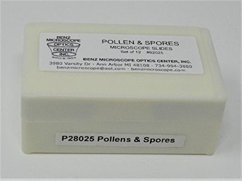 Pollen Microscope Slides