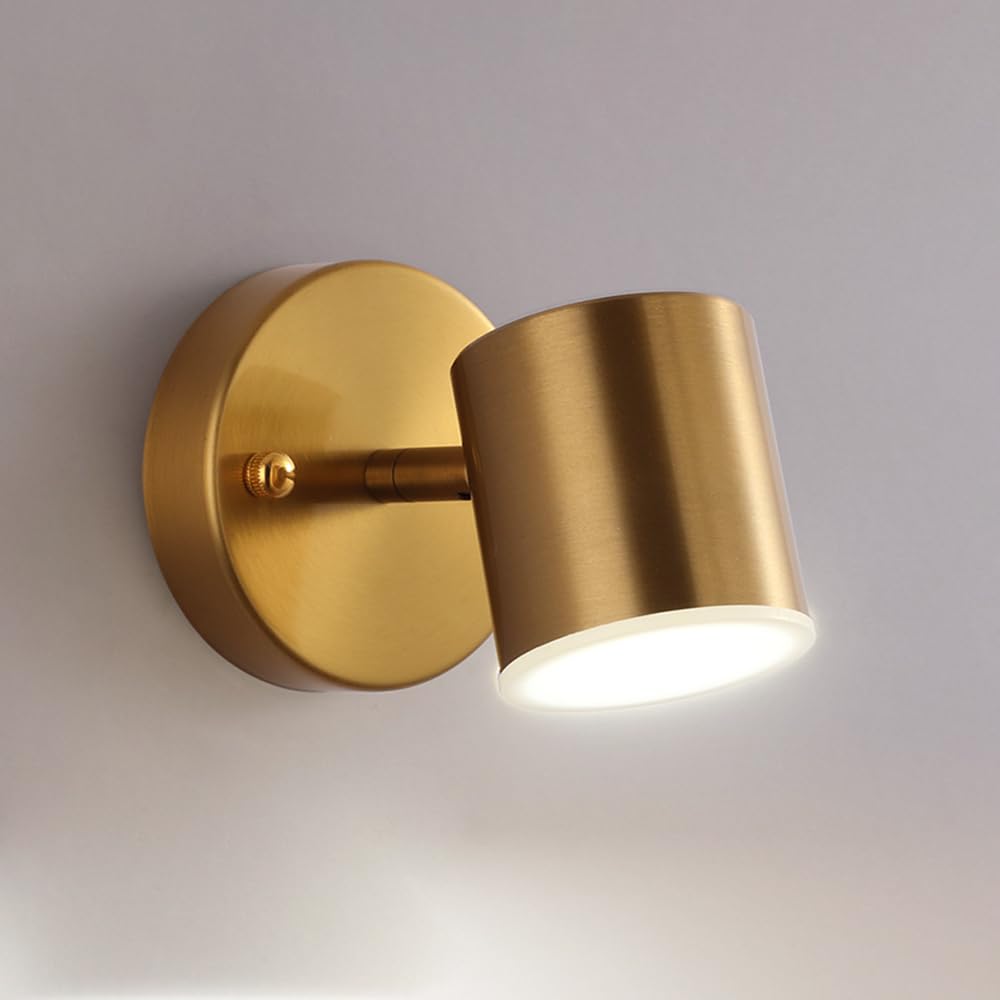 Directional Wall Sconce Light Fixtures