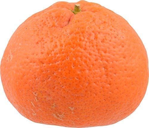 Amazon.com: Mandarins Bag, 80 Ounce : Grocery & Gourmet Food