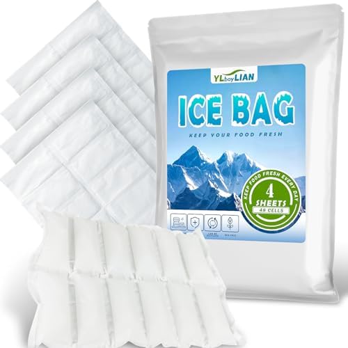 Amazon.com: YLboyLIAN Dry Ice Pack for Shipping & Coolers Frozen Food ...