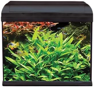 Love Aquatics Style 32 Aquarium Set-Includes Filter, Lights and Pump ...