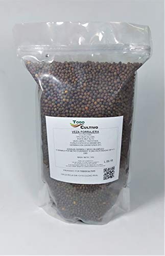 ¿Qué son las semillas de veza? - Mi Hogar