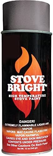 Amazon.com: Stove Bright High Temp Paint - Pewter 12 Ounce (Pack of 1 ...