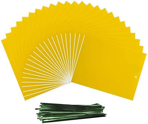 Cosymate 20 Pcs Yellow Blue Sticky Fly Traps Fly Paper Stickers Plant ...