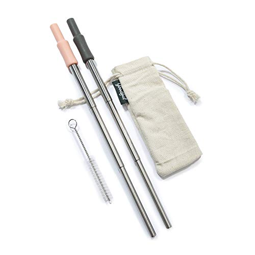 Top 10 Best Collapsible Stainless Steel Straw : Reviews & Buying Guide ...