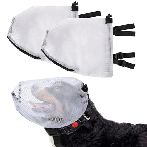 Foxtail Dogs – The 15 best products compared - Wild Explained