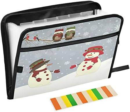 Amazon.com : CUPADA Winter Snowman Expanding File Folder with Labels ...